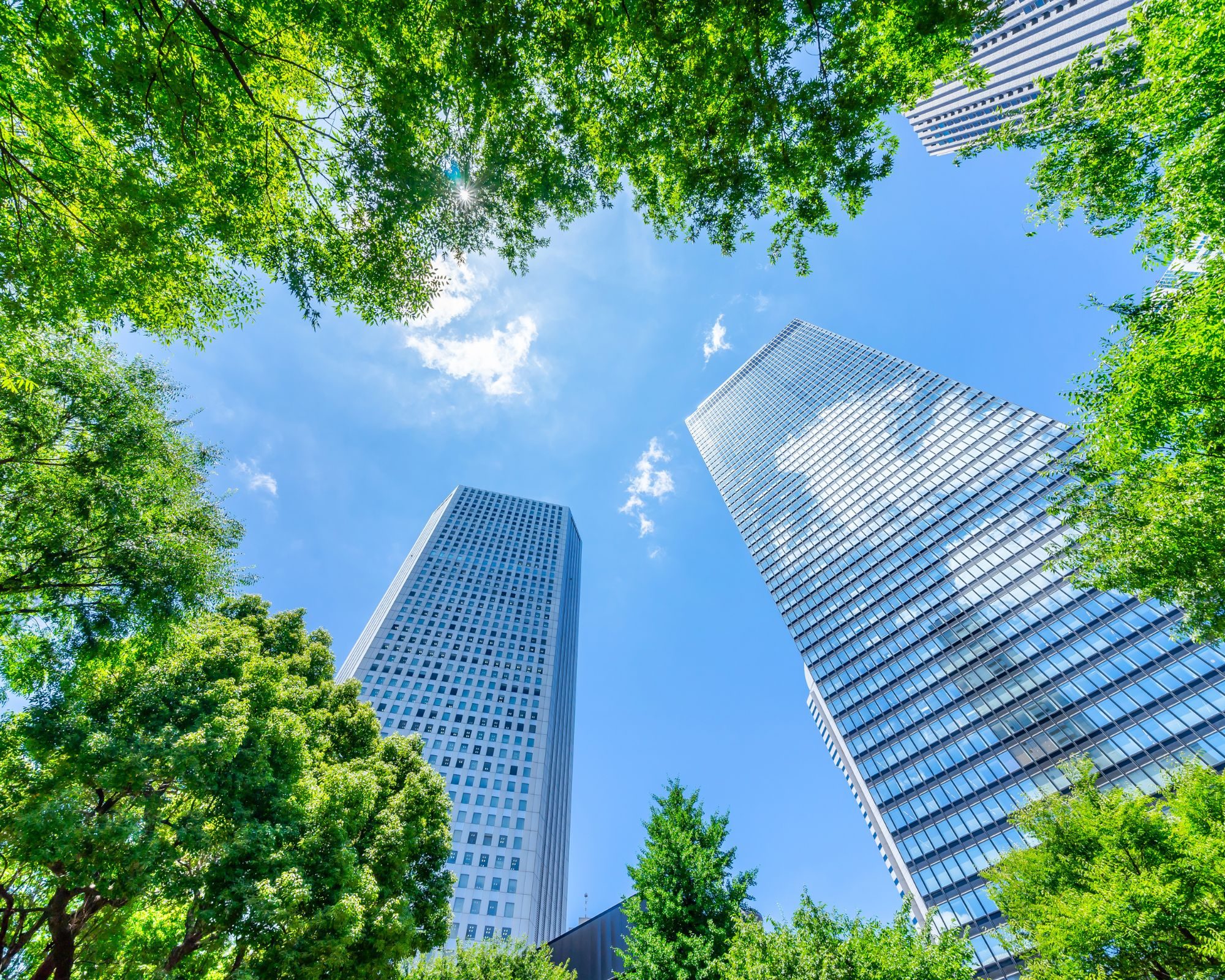 Brendiranje gradova: Zeleni gradovi po meri čoveka - Naša Mesta